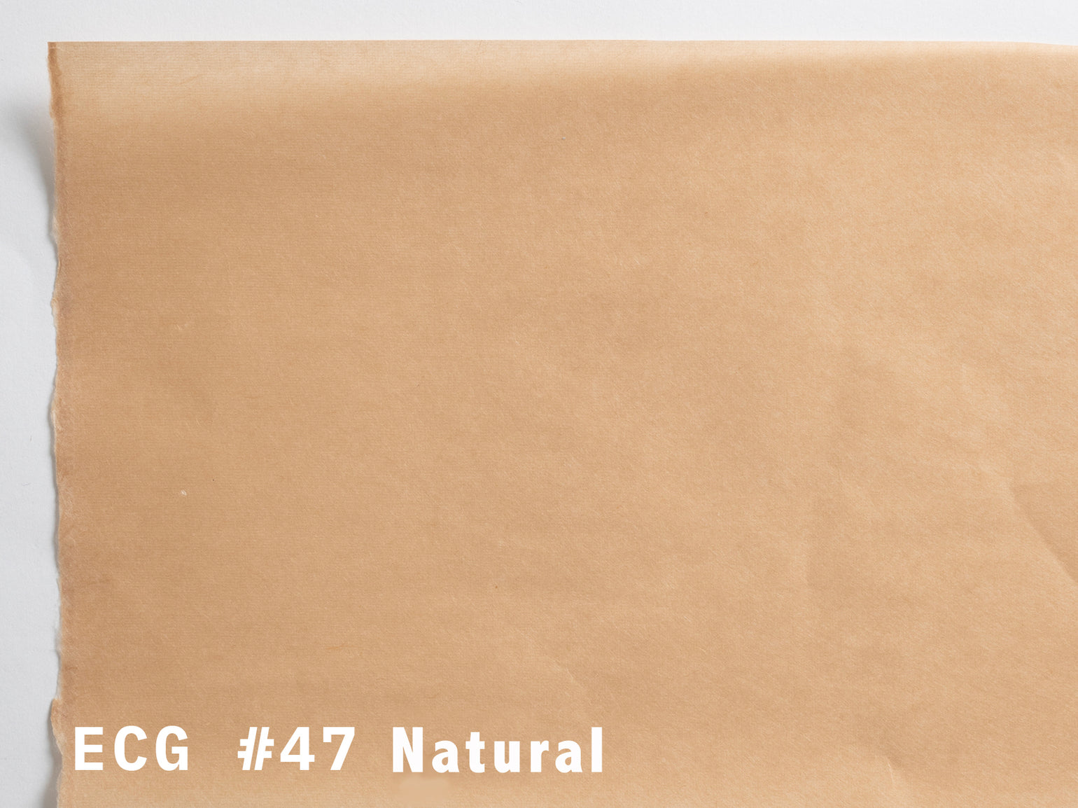 Color Gampi Series – Hiromi Paper, Inc.