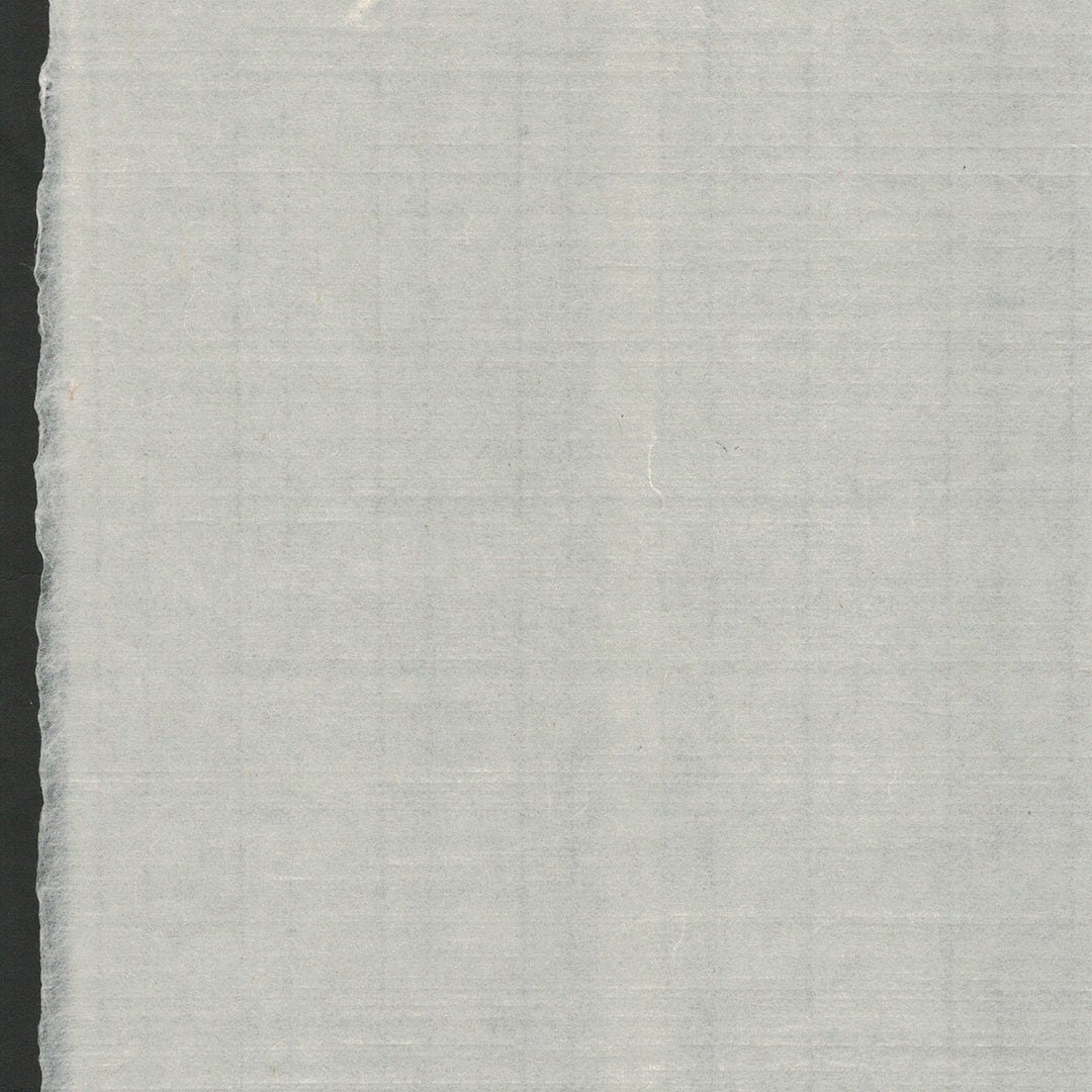 NEW ITEMS – Hiromi Paper, Inc.