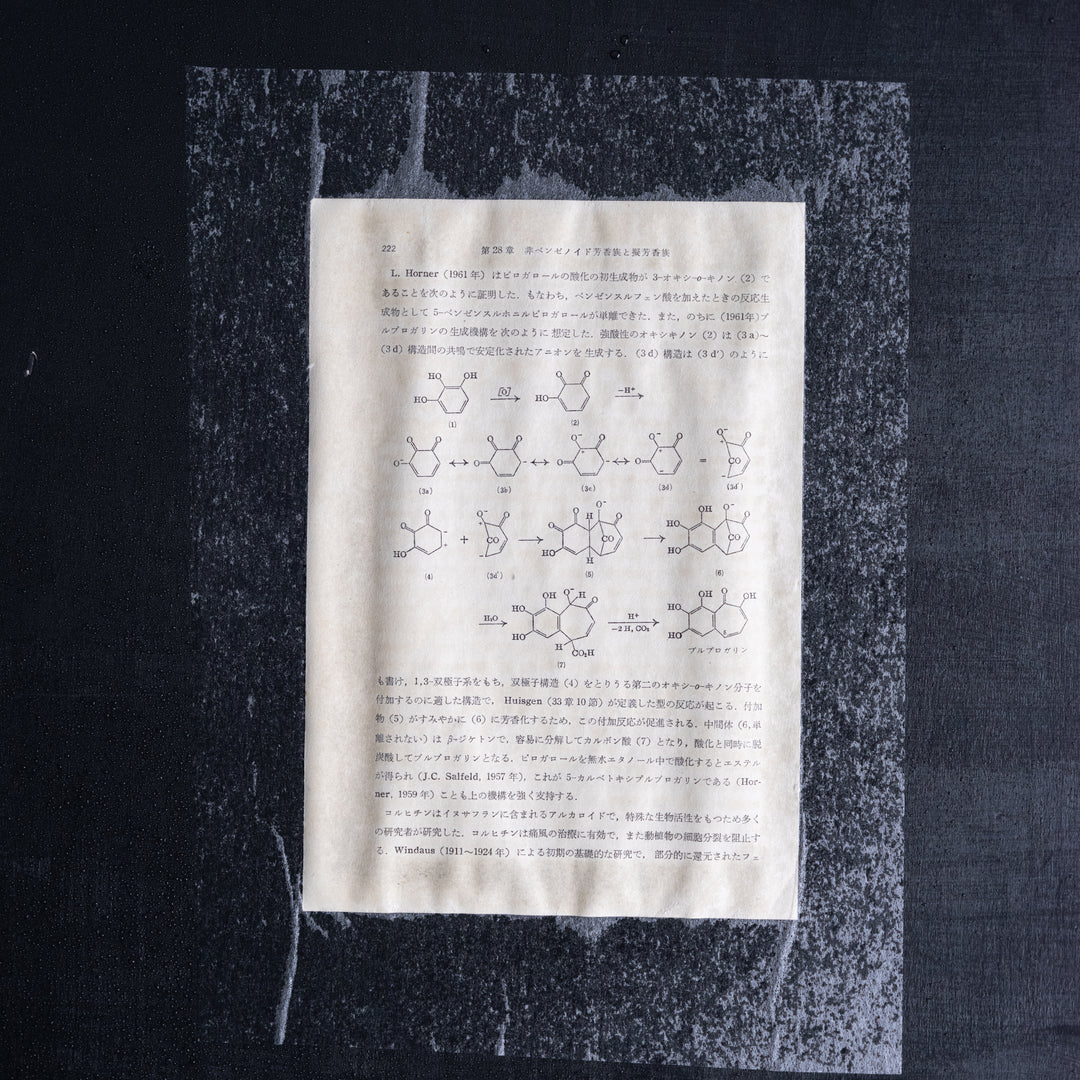 Hiromi Paper - Japanese Papers and More – Hiromi Paper, Inc.