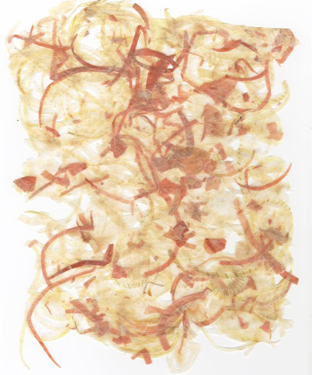 Vegetable/Fruit Papyrus – Hiromi Paper, Inc.