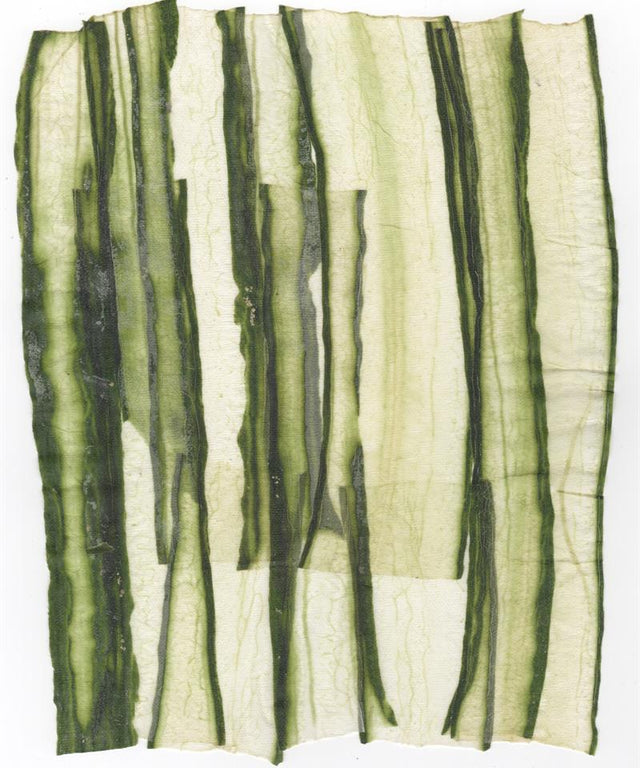 Vegetable/Fruit Papyrus – Hiromi Paper, Inc.