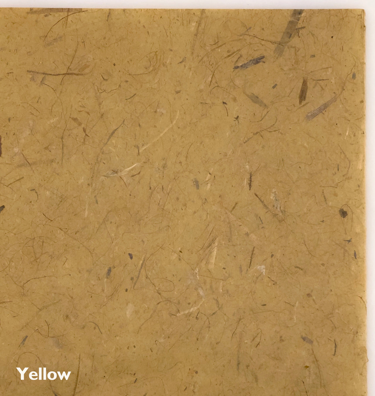 Thai Banana Paper – Hiromi Paper, Inc.
