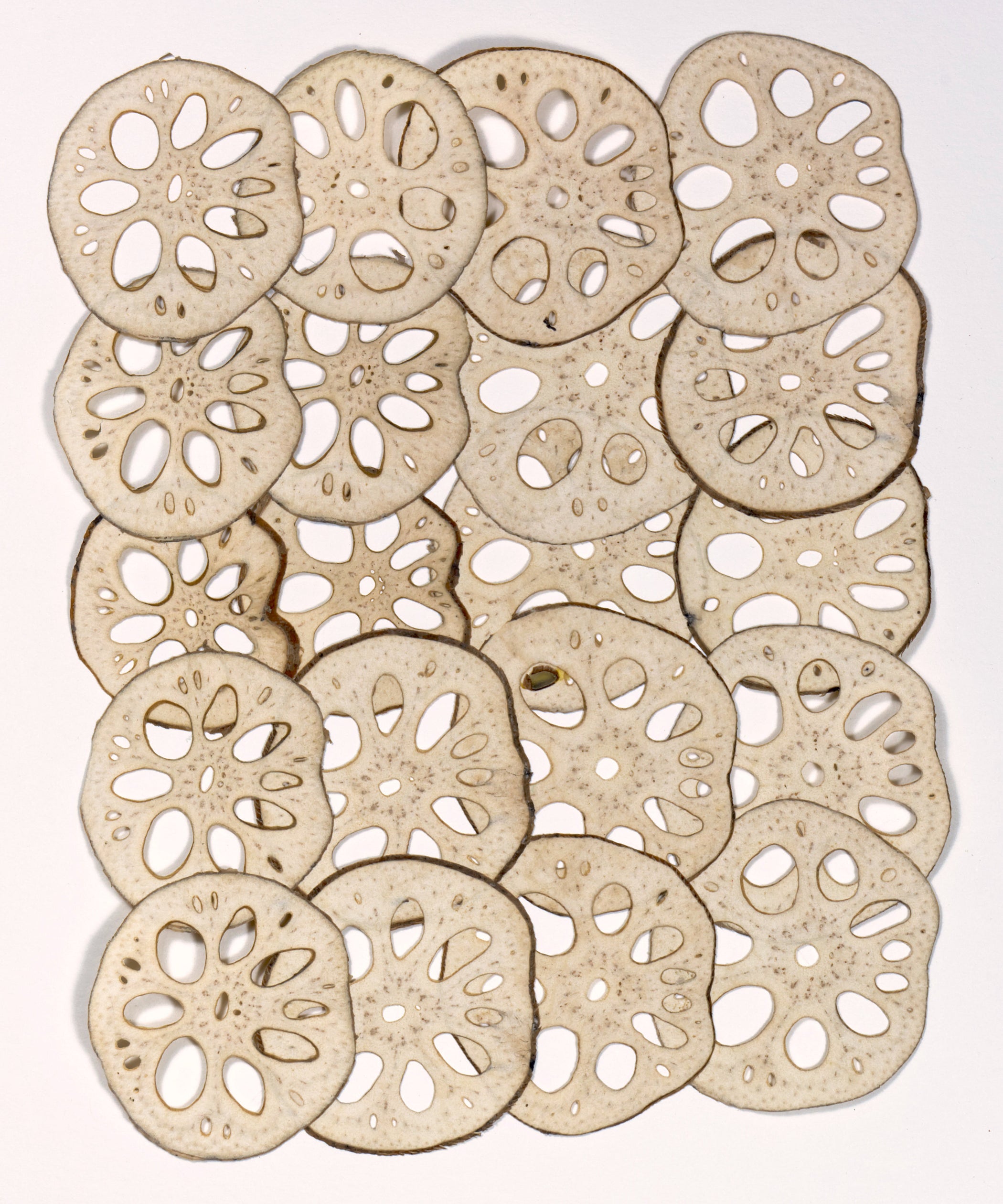Vegetable/Fruit Papyrus – Hiromi Paper, Inc.