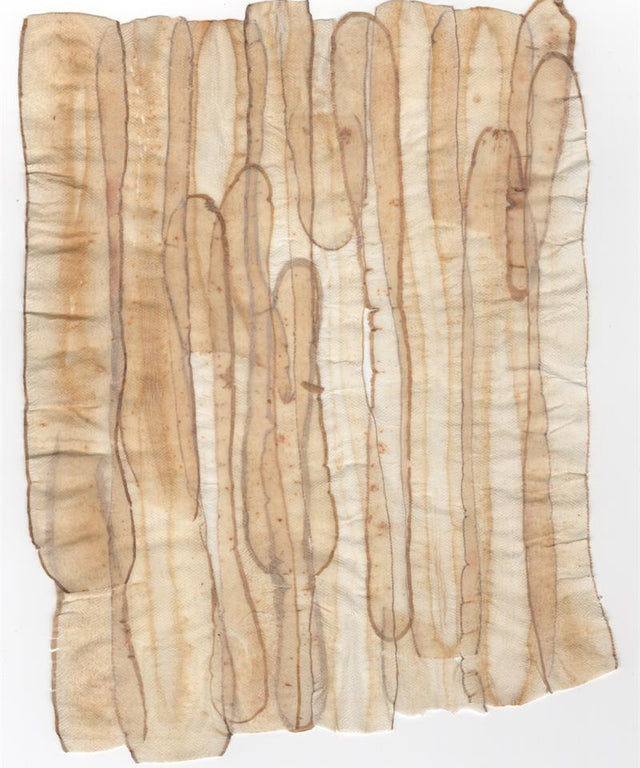 Vegetable/Fruit Papyrus – Hiromi Paper, Inc.