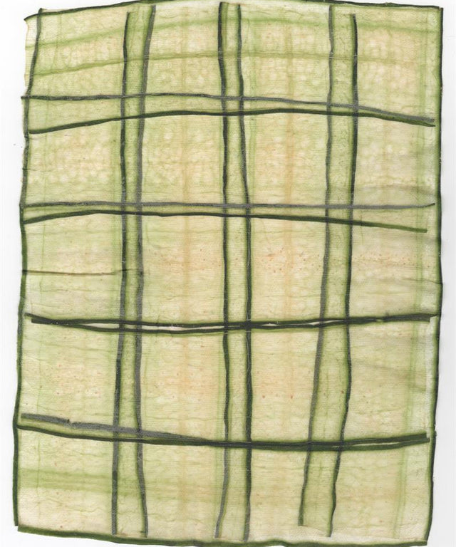 Vegetable/Fruit Papyrus – Hiromi Paper, Inc.