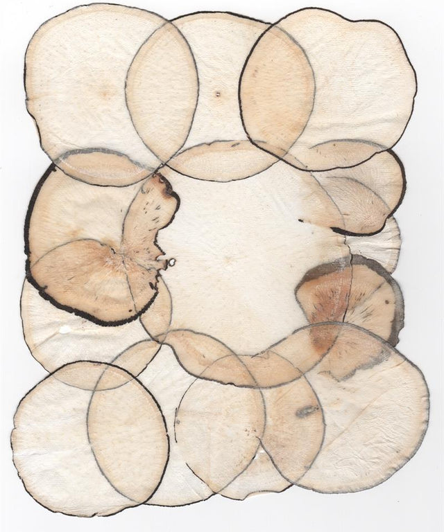 Vegetable/Fruit Papyrus – Hiromi Paper, Inc.