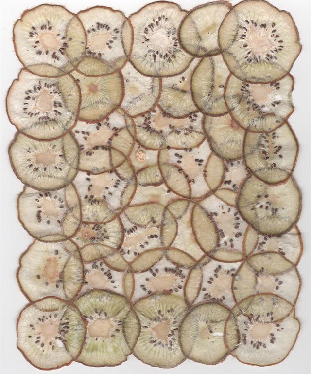 Vegetable/Fruit Papyrus – Hiromi Paper, Inc.