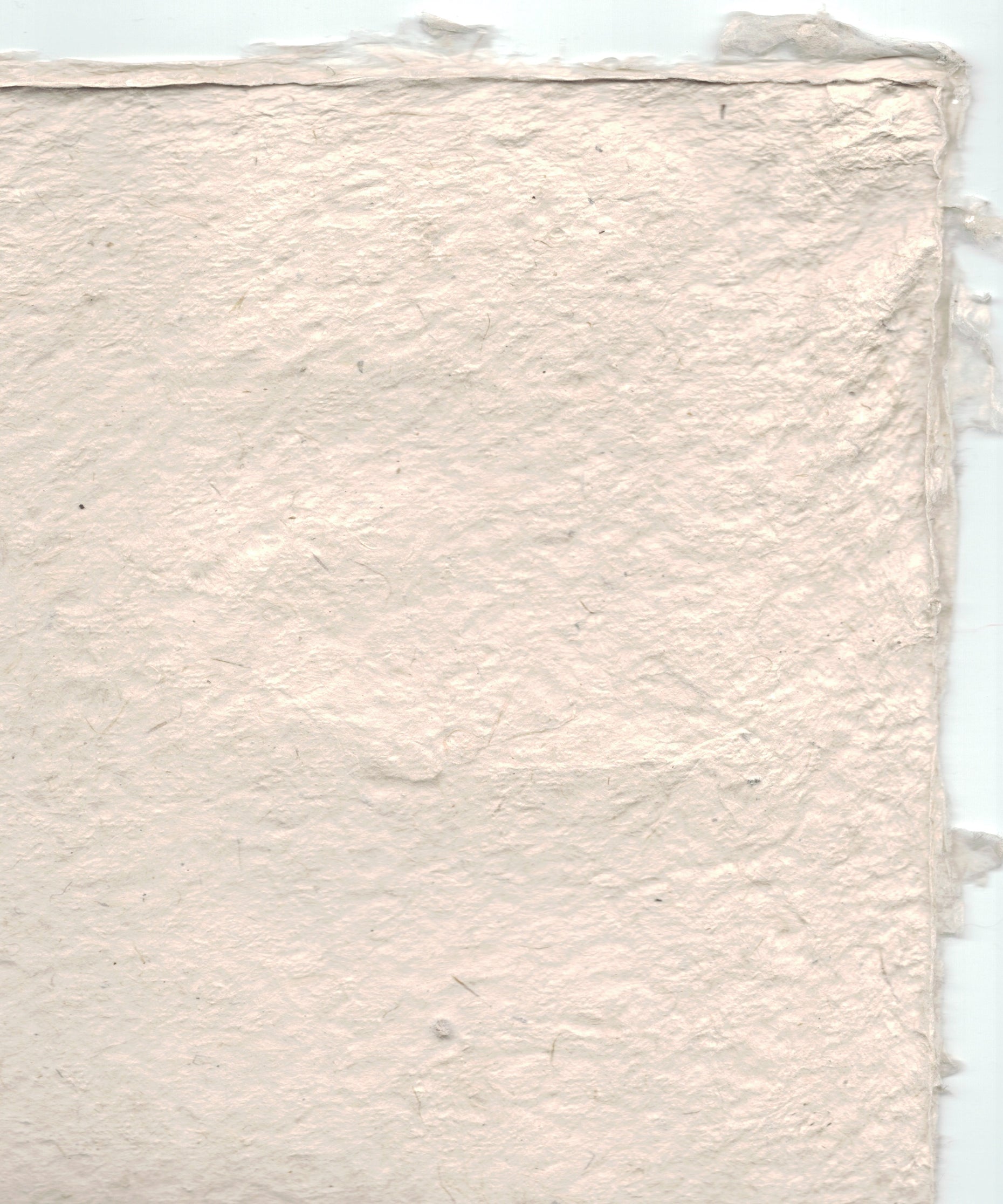 Large Size Papers – Hiromi Paper, Inc.